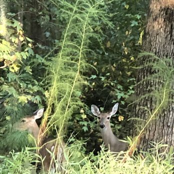 TUGALOO STATE PARK - Updated October 2025 - 61 Photos & 24 Reviews ...