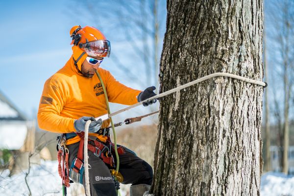 K&J TREE SERVICE - Updated December 2025 - 61 Photos & 38 Reviews - 2 ...