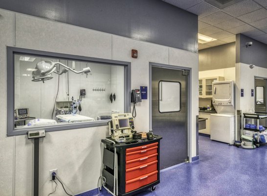 NORTHSTAR VETS - BRICK - Updated August 2024 - 19 Photos & 48 Reviews ...