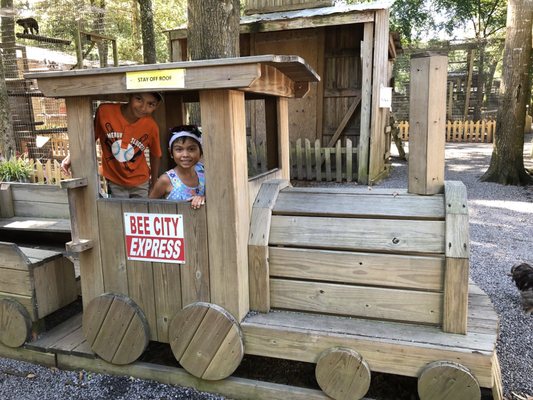 BEE CITY ZOO - 302 Photos & 66 Reviews - Petting Zoos - 1066 Holly ...