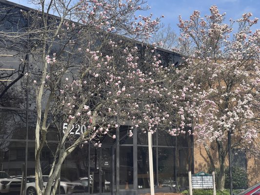 KALSEE CREDIT UNION - Updated July 2025 - 5220 Lovers Ln, Portage ...