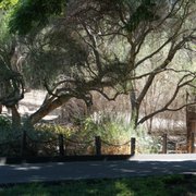 UCR BOTANIC GARDENS - 580 Photos & 113 Reviews - 1 Botanic Gardens Dr ...