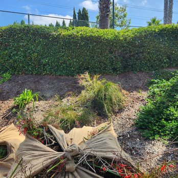 STEVEN SMITH LANDSCAPE - Updated September 2025 - 1916 Commercial St ...