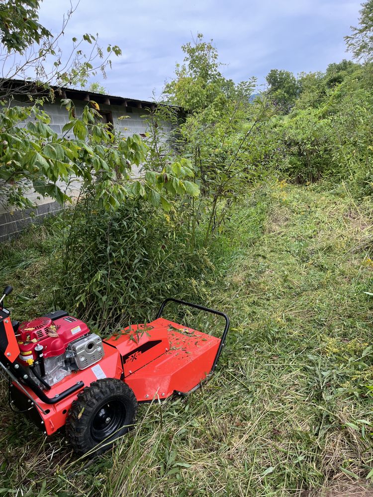 BLACK DIAMOND LANDSCAPING AND TREE SERVICE - Updated December 2025 - 10 ...