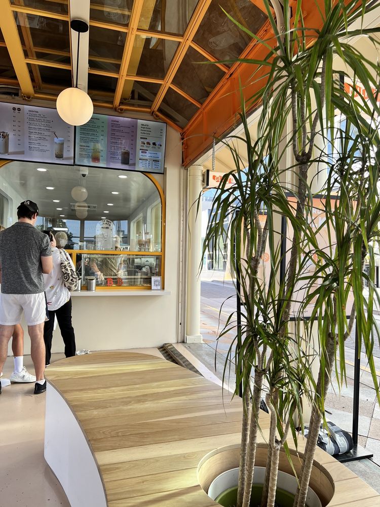 ODD ONE OUT TEA - Updated May 2025 - 79 Photos & 31 Reviews - 1260 3rd ...