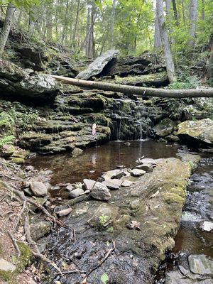 DAY POND STATE PARK - Updated September 2024 - 38 Photos - Day Pond Rd ...