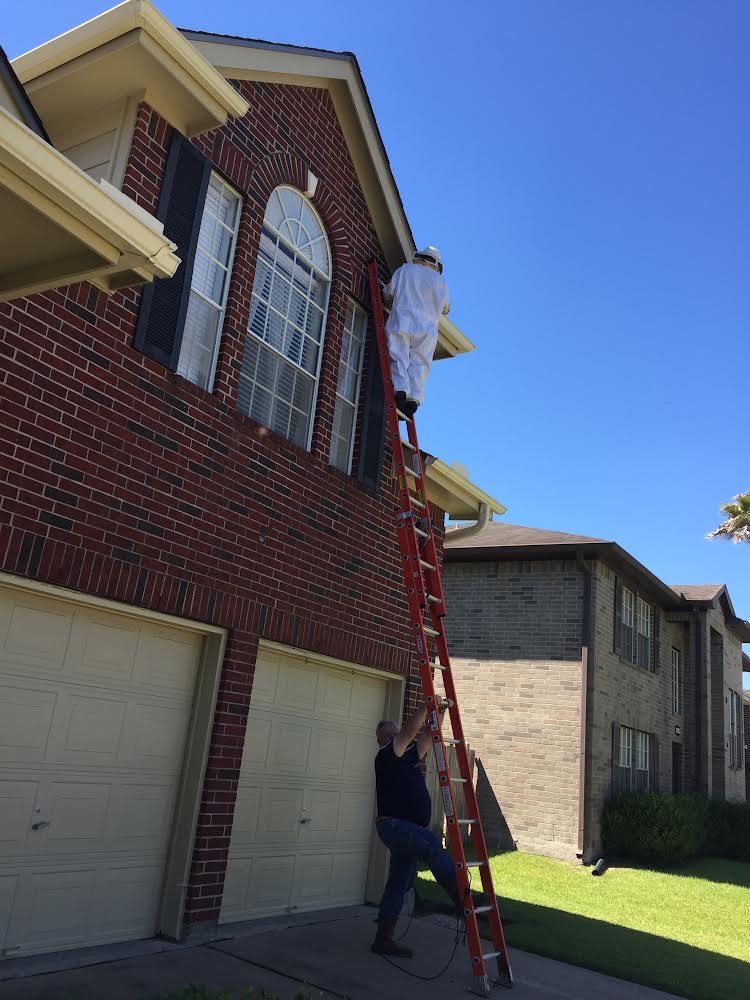 COLBURN’S PEST CONTROL SERVICE - Updated October 2025 - 49 Photos ...