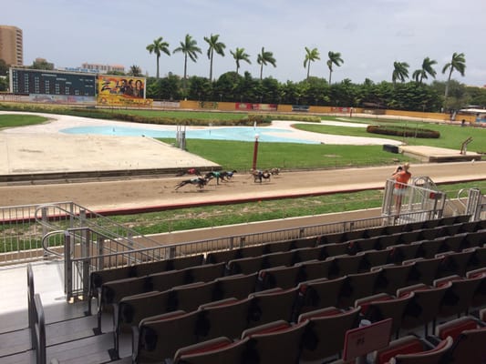 FLAGLER DOG TRACK - Updated November 2025 - 401 NW 38th Ct, Miami ...