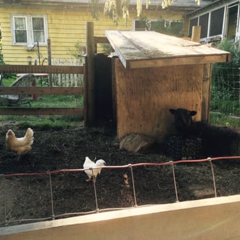 MAPLEVILLE FARM - Updated December 2025 - 31 Photos & 15 Reviews - 544 ...