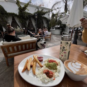 CAJÉ COFFEE - ARLINGTON ST - 325 Photos & 152 Reviews - 1316 State St ...