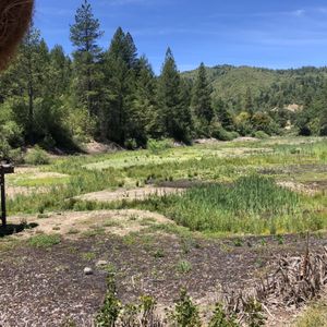 BROOKTRAILS GOLF COURSE - Updated July 2024 - 10 Photos - 24860 Birch ...