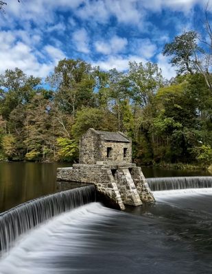 SPEEDWELL PARK - Updated October 2025 - 52 Photos - 288 Speedwell Ave ...