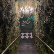 36 BELOW - 458 Photos & 155 Reviews - 3620 E Indian School Rd, Phoenix ...