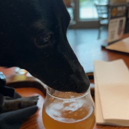 APPETITES ON MAIN - Updated December 2025 - 534 Photos & 218 Reviews ...