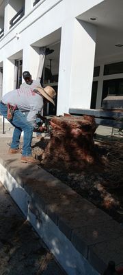 GERONIMO PACHECO LANDSCAPING - Updated August 2024 - 275 Photos & 33 Reviews - Phoenix, Arizona ...