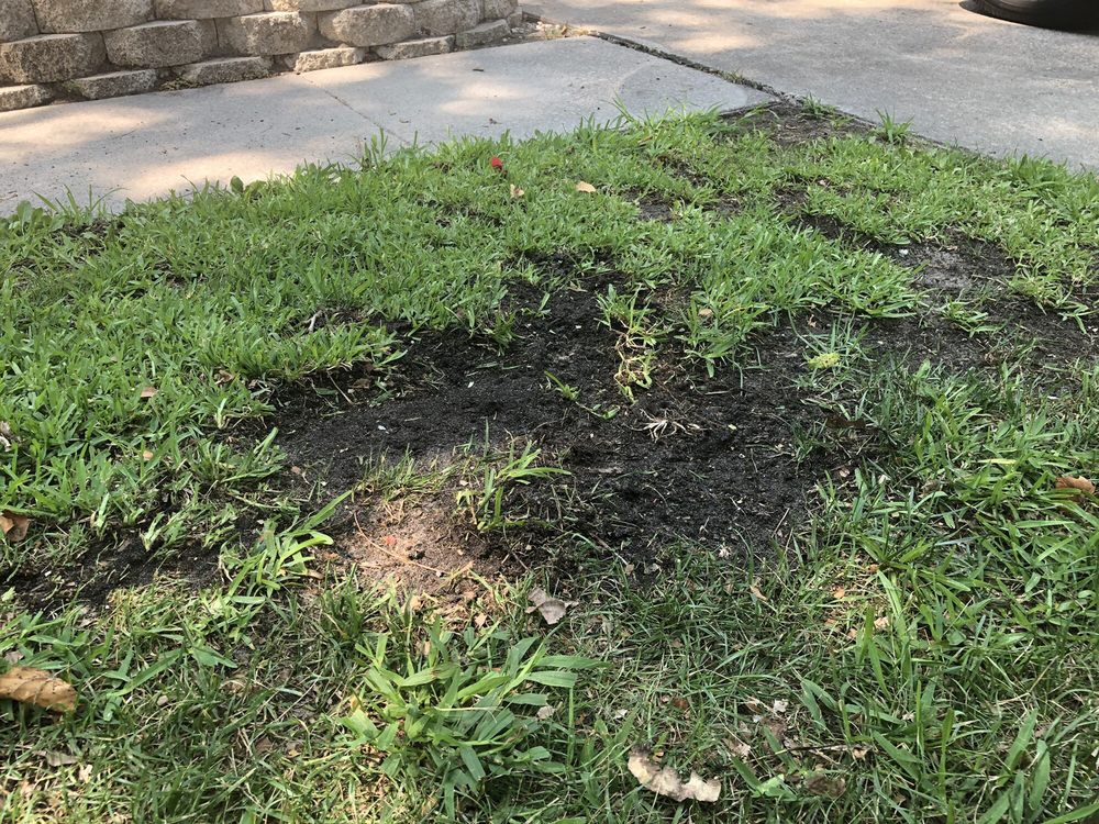 GRASS BUSTERS - Updated November 2025 - Myrtle Beach, South Carolina ...