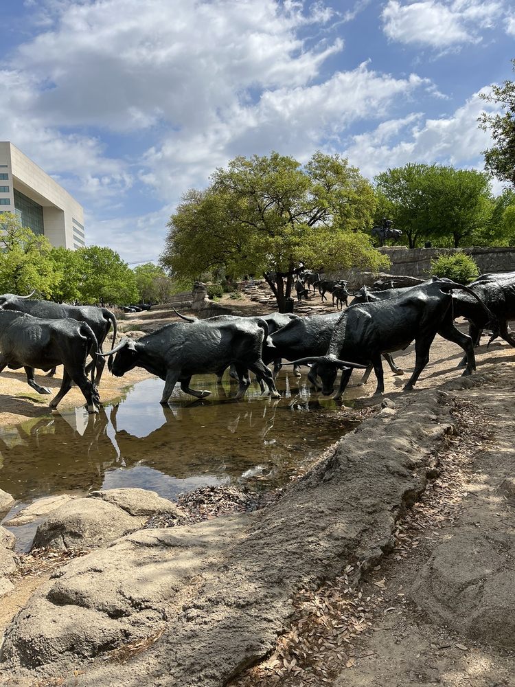 DALLAS TROLLEY TOURS - Updated October 2025 - 11 Reviews - 100 S ...