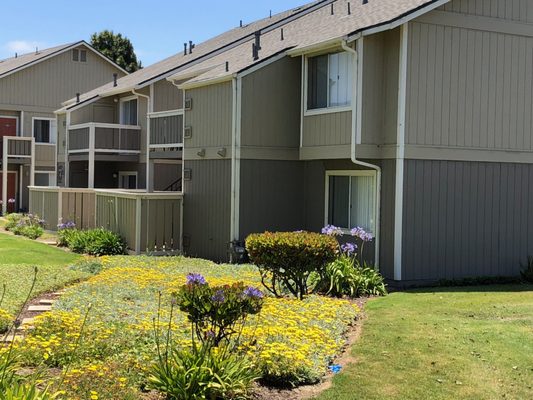 LEFEVER MATTSON PROPERTY MANAGEMENT - Updated October 2025 - 20 Photos ...