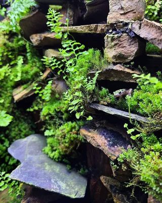 FRAGILE PLANET WILDLIFE PARK - Updated June 2024 - 12 Photos - 34748 Fm ...