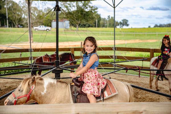 SEWARD FARMS - Updated January 2026 - 18 Photos - 10836 Tanner Williams ...