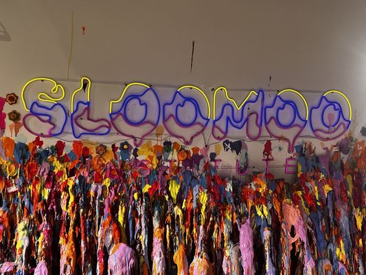 SLOOMOO INSTITUTE - ATLANTA - Updated June 2025 - 213 Photos & 70 ...