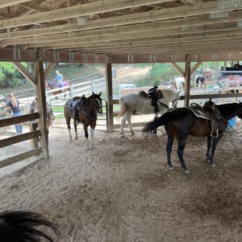 RED RIDGE RANCH RIDING STABLES - Updated October 2025 - 92 Photos & 59 ...