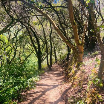 MORNING SUN TRAIL - Updated December 2025 - 63 Photos - Sausalito ...