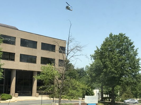 UM LAUREL MEDICAL CENTER - Updated December 2025 - 24 Photos & 100 ...