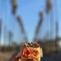 SHAWARMA LOCA - Updated April 2026 - 530 Photos & 818 Reviews - 430 S ...