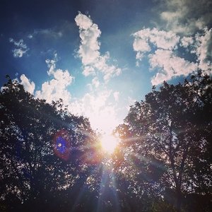 PRATHER PARK - Updated August 2024 - 4700 Drexel Ave, Highland Park ...