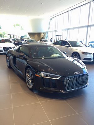 AUDI FREEHOLD - Updated April 2026 - 34 Photos & 58 Reviews - 3561 Us-9 ...