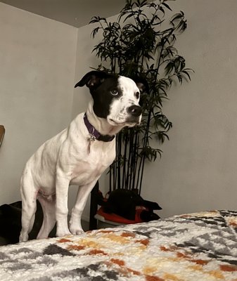 MAMCO - Updated January 2026 - 68 Photos & 18 Reviews - Englewood ...