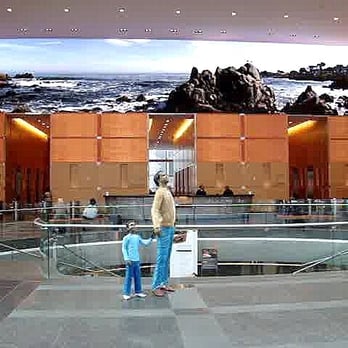 THE COMCAST EXPERIENCE HD VIDEO WALL - Updated January 2026 - 97 Photos ...