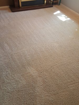 WORLD CLASS CARPET CLEANING - Updated July 2025 - 196 Photos & 475 ...