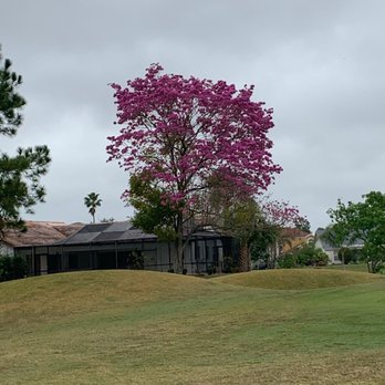 SUMMERFIELD CROSSINGS GOLF CLUB - Updated January 2025 - 37 Photos & 23 ...