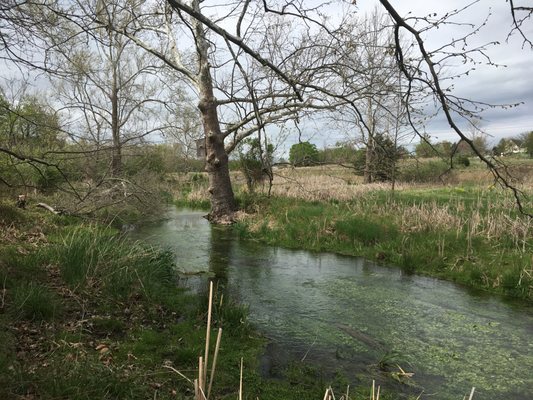 COOL SPRING PRESERVE - Updated August 2025 - 20 Photos - 1469 Lloyd Rd ...
