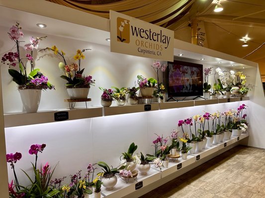 WESTERLAY ORCHIDS - Updated May 2026 - 96 Photos & 26 Reviews - 3504 ...