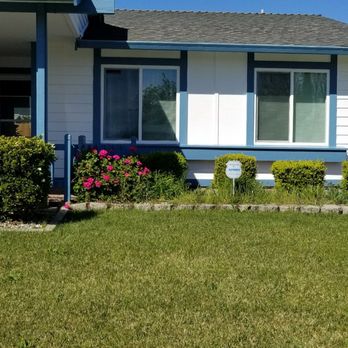 PUMA PAINTING - Updated December 2025 - 35 Photos - 607 Elmira Rd ...