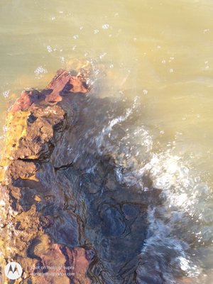 BIRCH LAKE - 25 Photos - Fishing - Skiatook, OK - Phone Number - Yelp