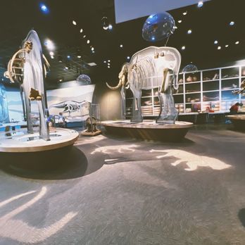WESTERN SCIENCE CENTER - Updated July 2025 - 252 Photos & 78 Reviews ...