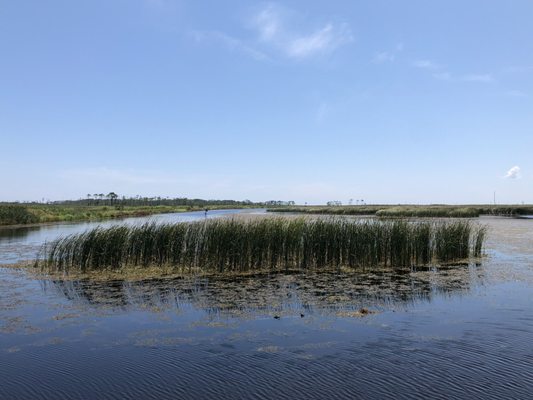 MACKAY ISLAND NATIONAL WILDLIFE REFUGE - 23 Photos - 316 Marsh Cswy ...