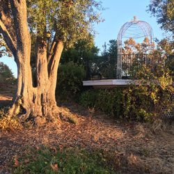 ALMADEN WINERY COMMUNITY CENTER - 20 Photos - 5730 Chambertin Dr, San ...