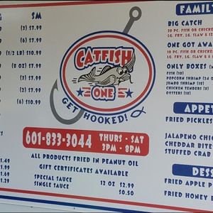 CATFISH ONE - Updated July 2025 - 131 Brookhaven St, Monticello ...