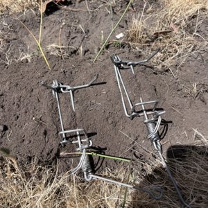 THE GOPHER GUY - Updated August 2024 - 15 Reviews - Moss Beach ...