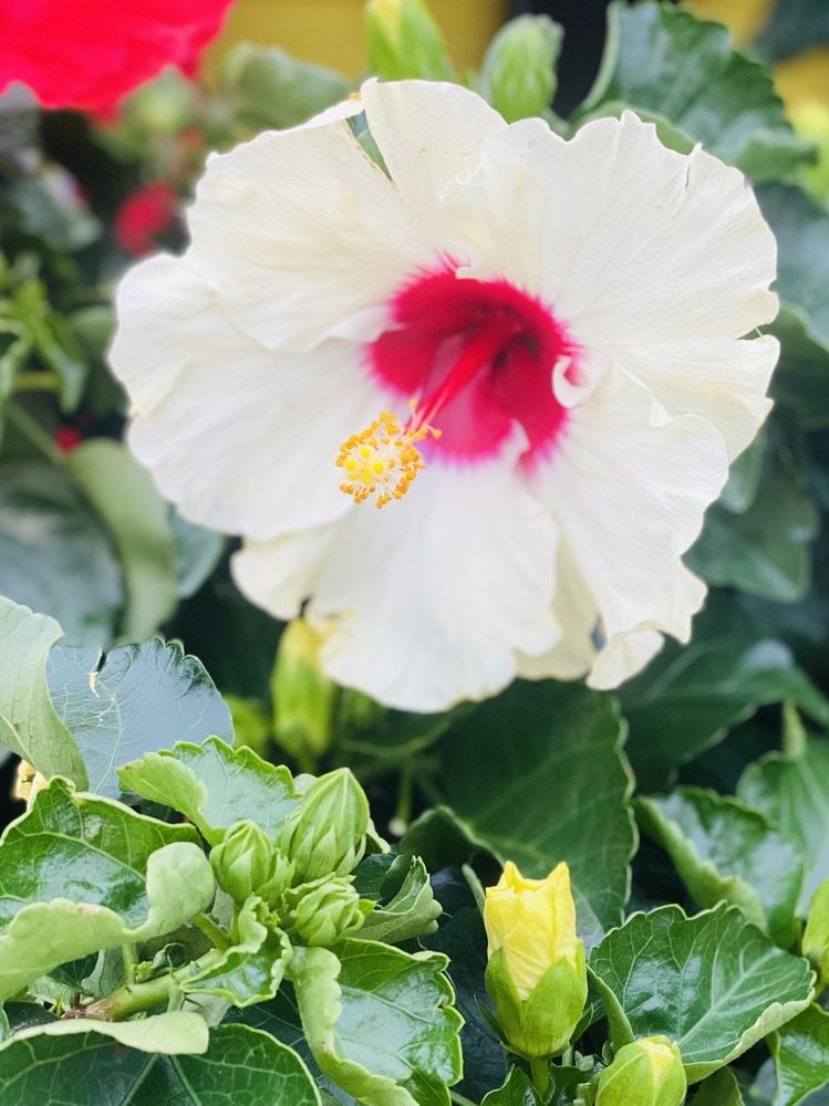 LOWE’S HOME IMPROVEMENT - Updated September 2025 - 10 Photos & 47 ...