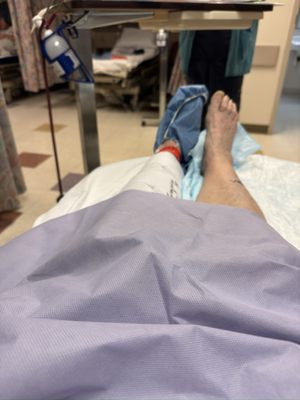 ARAMINI MICHAEL DPM - Updated December 2025 - 31 Reviews - 5435 Reno ...