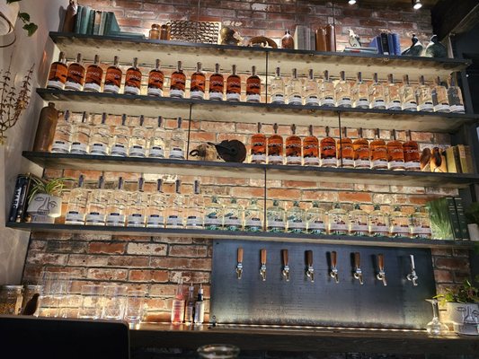 WILD BEVY - Updated July 2024 - 57 Photos & 24 Reviews - 596 N Berwick ...