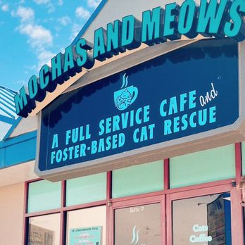 MOCHAS AND MEOWS - Updated May 2024 - 115 Photos & 65 Reviews - 3265 ...