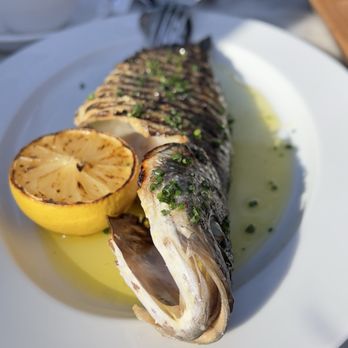 RH ROOFTOP RESTAURANT AT RH MARIN - Updated January 2025 - 2559 Photos ...