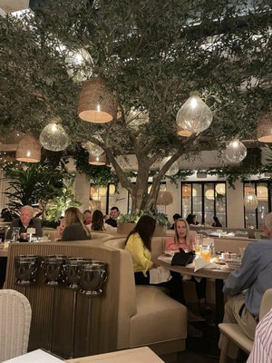 EMA Glenview, IL - Updated November 2024 - 263 Photos & 54 Reviews ...